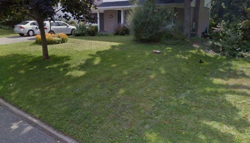 Quick Fixes For the 11 Most Common Lawn Problems - DIY LAWN EXPERT